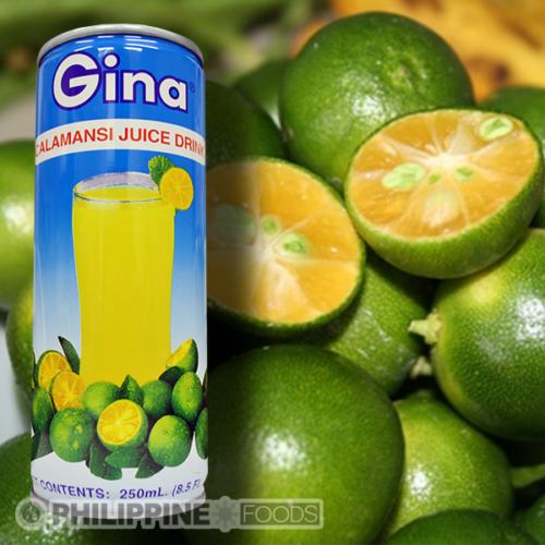 パンラサン ピノイ カラマンシージュース 500ml 【PANLASANG PINOY】 – フィリピン食品・食材の通販 フィリピンフーズ
